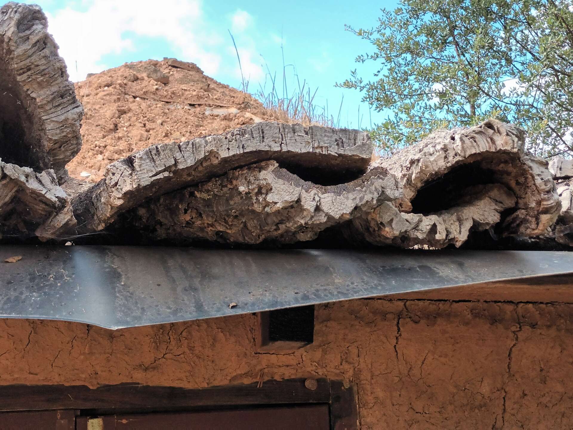 Rencontre avec la communauté de Cabaços au Portugal - Lumière sur Gaia